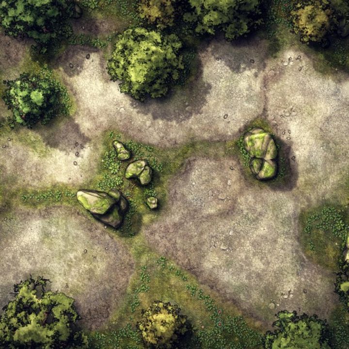 3D Printable Forest Clearing Map by Rhasmus Battlemaps